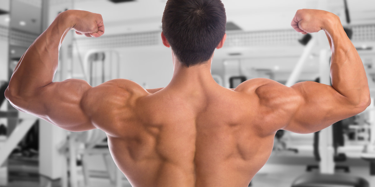 Rug oefeningen: 6 oefeningen met video voor een brede rug - Bell Coaching