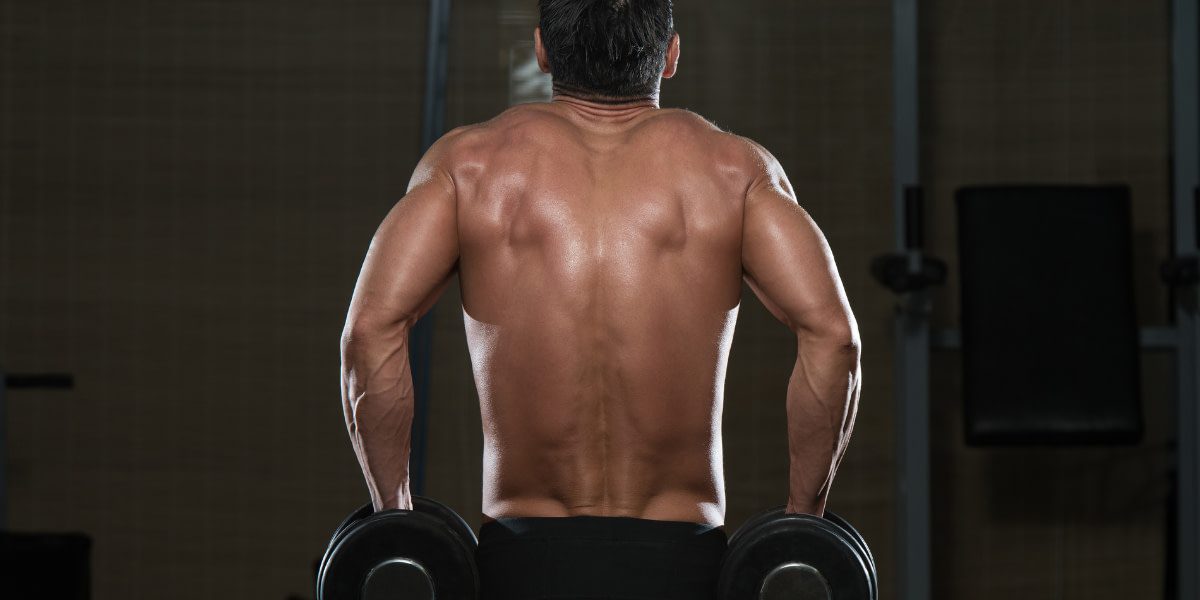 Trapezius trainen: 7 oefeningen met video voor monsterlijke traps ...