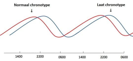 Circadiaans ritme: Het effect op gezondheid, vetverlies en spiergroei