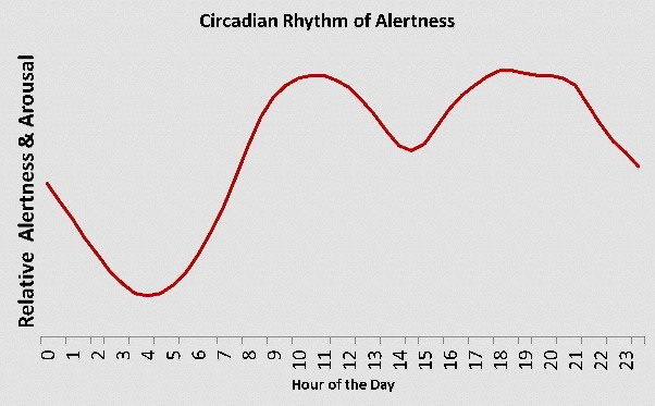 Circadiaans ritme: Het effect op gezondheid, vetverlies en spiergroei